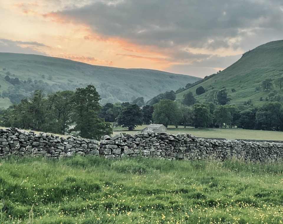 Evening in the Dale | Woollyback | Blipfoto