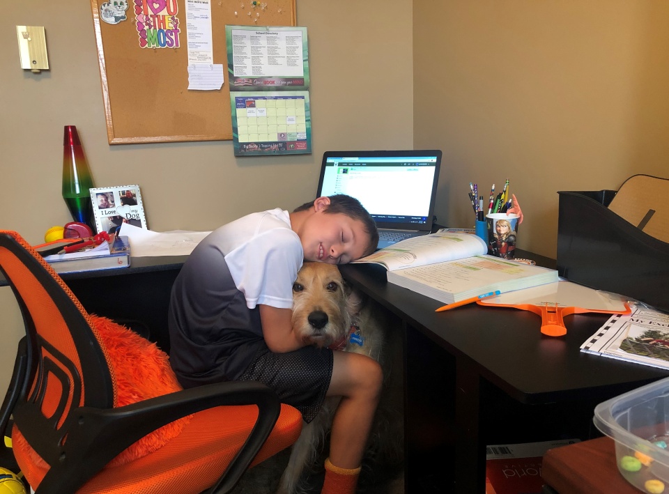 Class Crasher | TurtleBug | Blipfoto