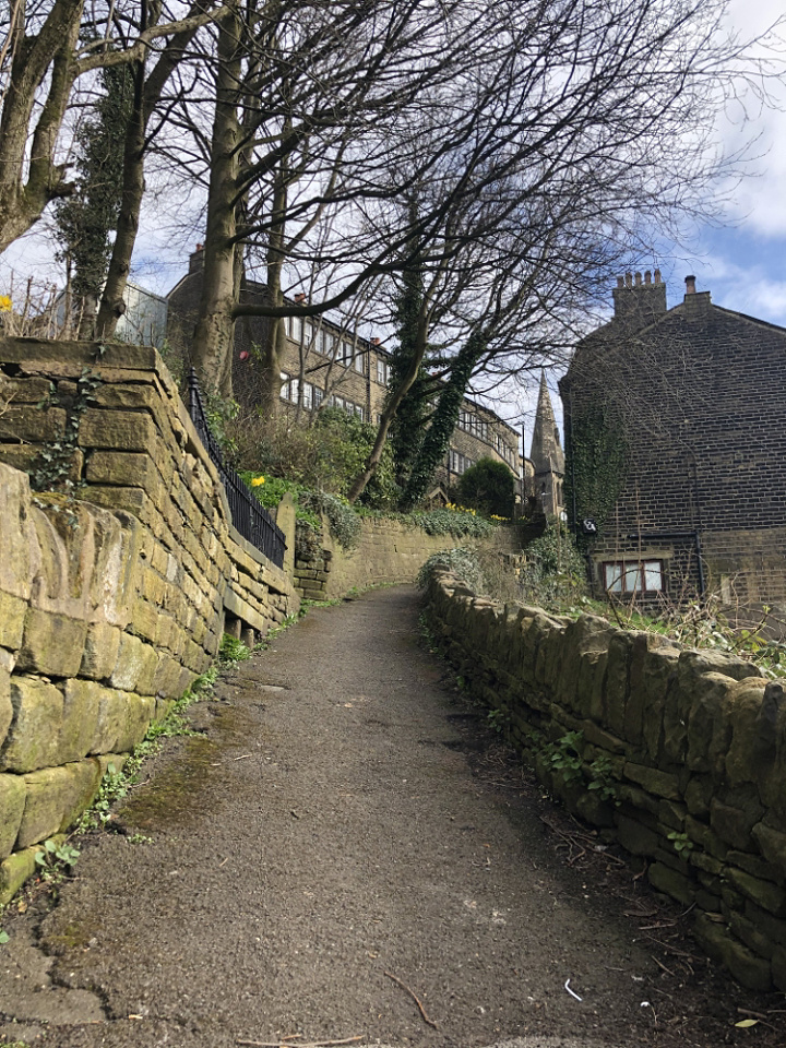 Ginnel of the week | ShanWilliams | Blipfoto