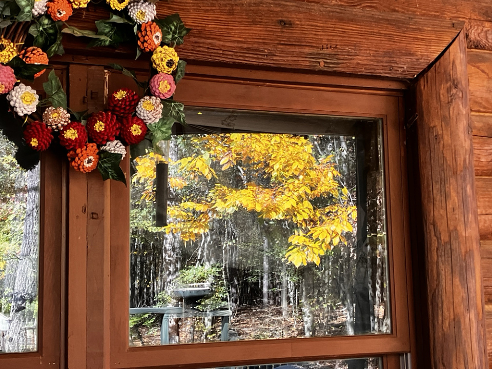 Reflecting | MaryElizaR | Blipfoto