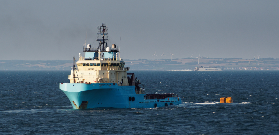 Anchor furtling | haddock | Blipfoto