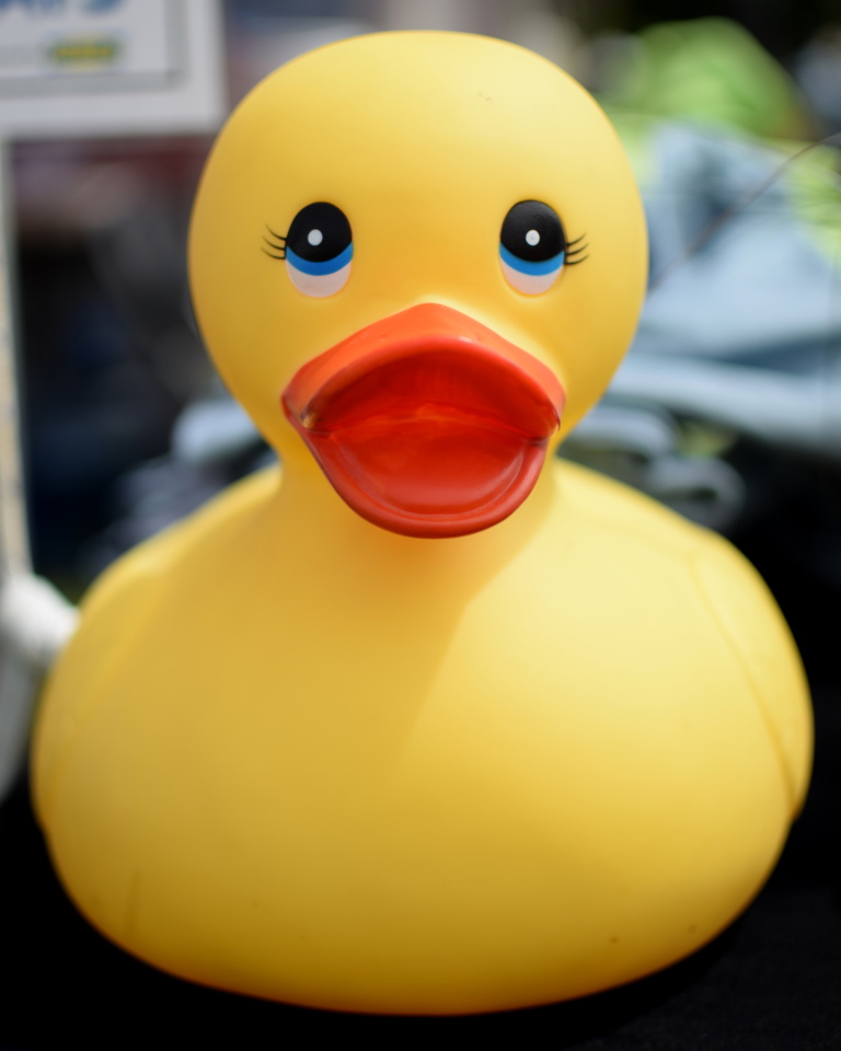An Official Ducky... | johnsmiley1321 | Blipfoto