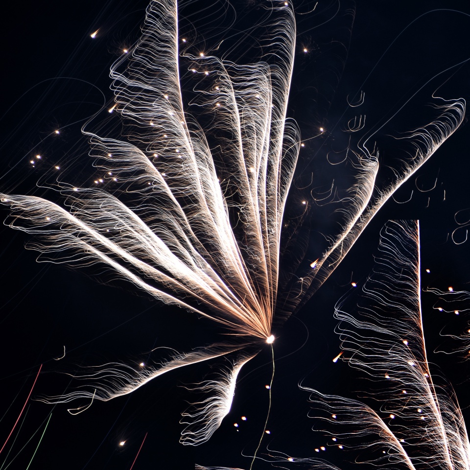 Poor Teddy | Pokeybagel | Blipfoto