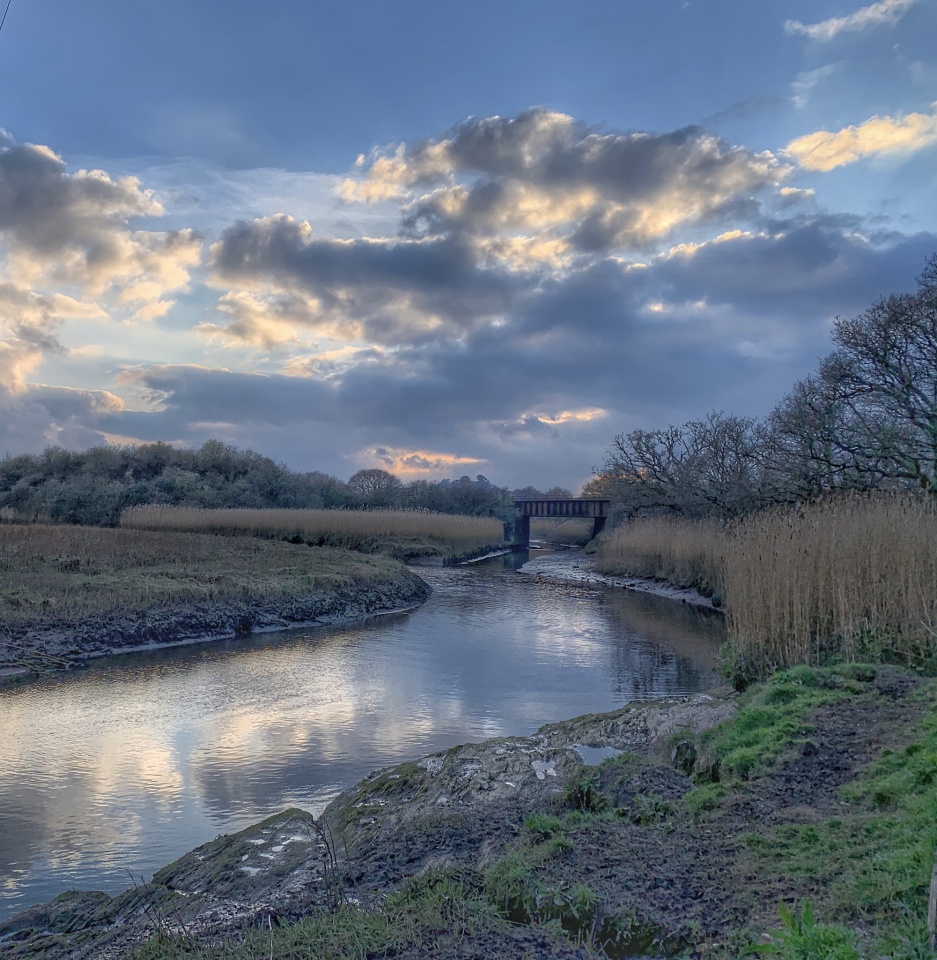 Hackney Marshes | Jorgiesmum | Blipfoto