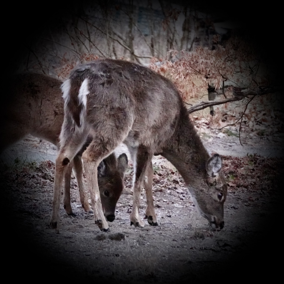 Regulars | Kimb | Blipfoto