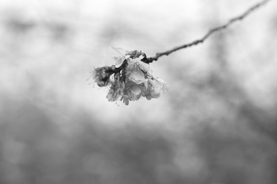 Wetness | SkiMe | Blipfoto