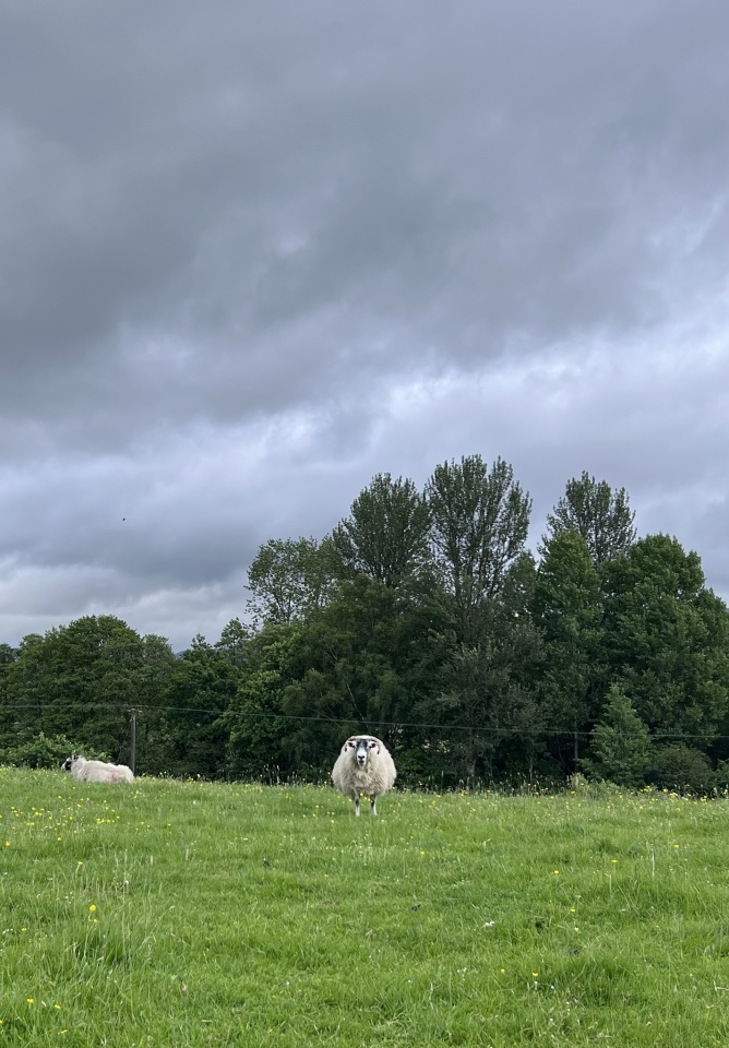 Who’s watching who? | Greenstead | Blipfoto