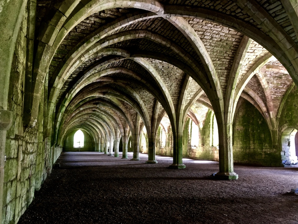 The Cellarium | seizetheday | Blipfoto