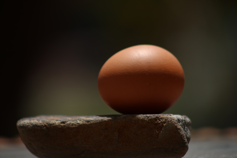 Egg on a Rock | carolinav | Blipfoto
