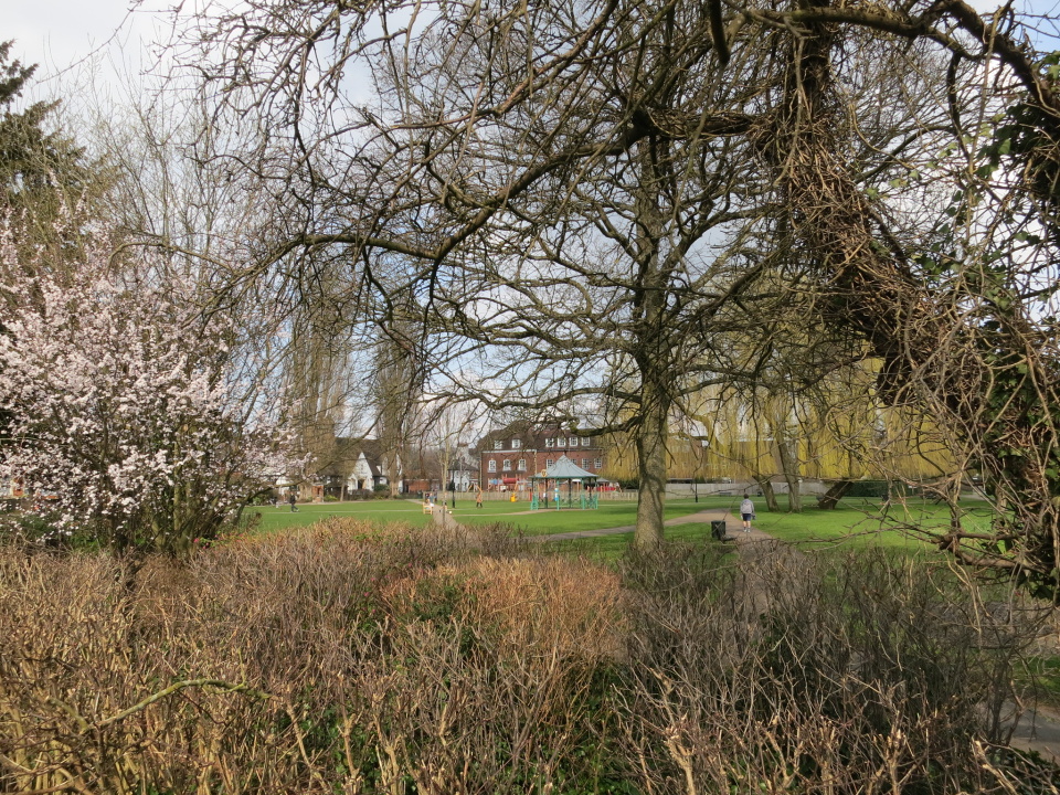 Gostrey Meadow, Farnham | annenolan | Blipfoto