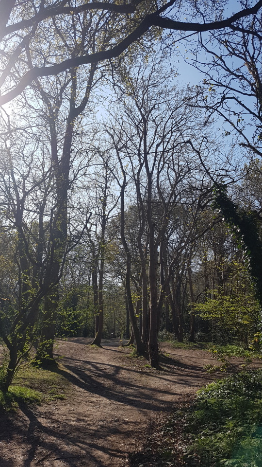 Spring walk | Redberry | Blipfoto