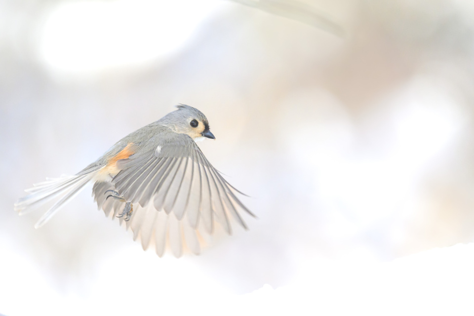 DTDD | dbifulco | Blipfoto