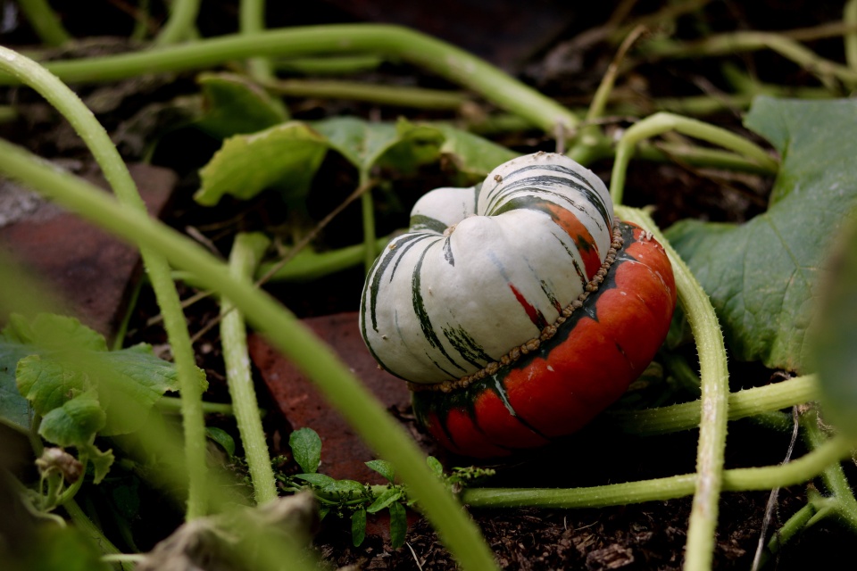 A trip out | Jaybay | Blipfoto