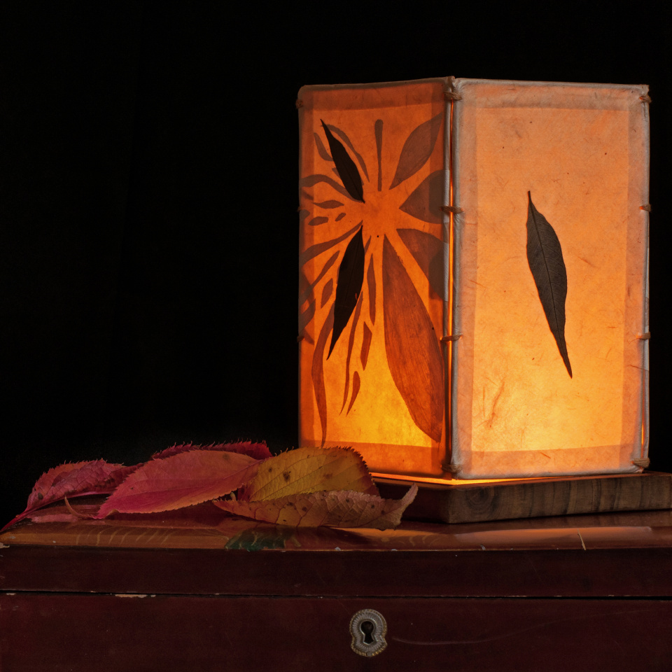 November 11 | Ingeborg | Blipfoto