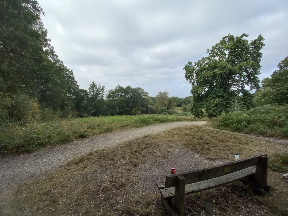 Danbury and Little Baddow walk with Barbara | Yvonnedailypic | Blipfoto