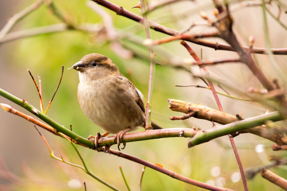 Sedentary | gladders | Blipfoto