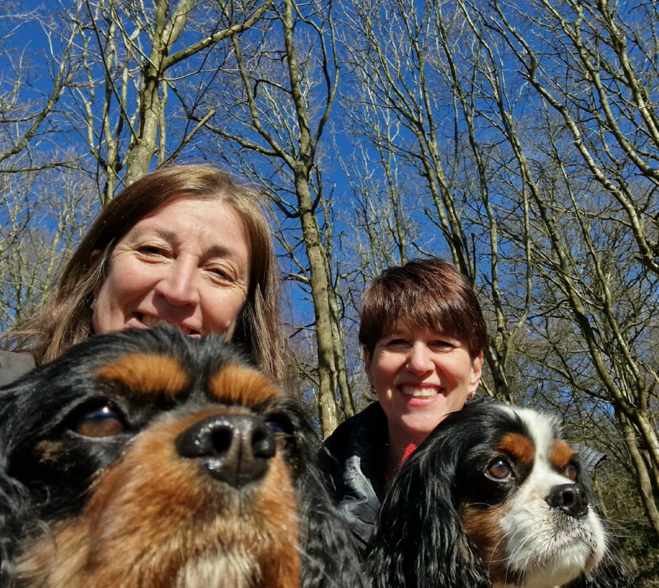 blue skies | spishy | Blipfoto