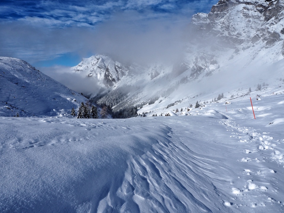 Hard Walking in the Snow | HilarysView | Blipfoto