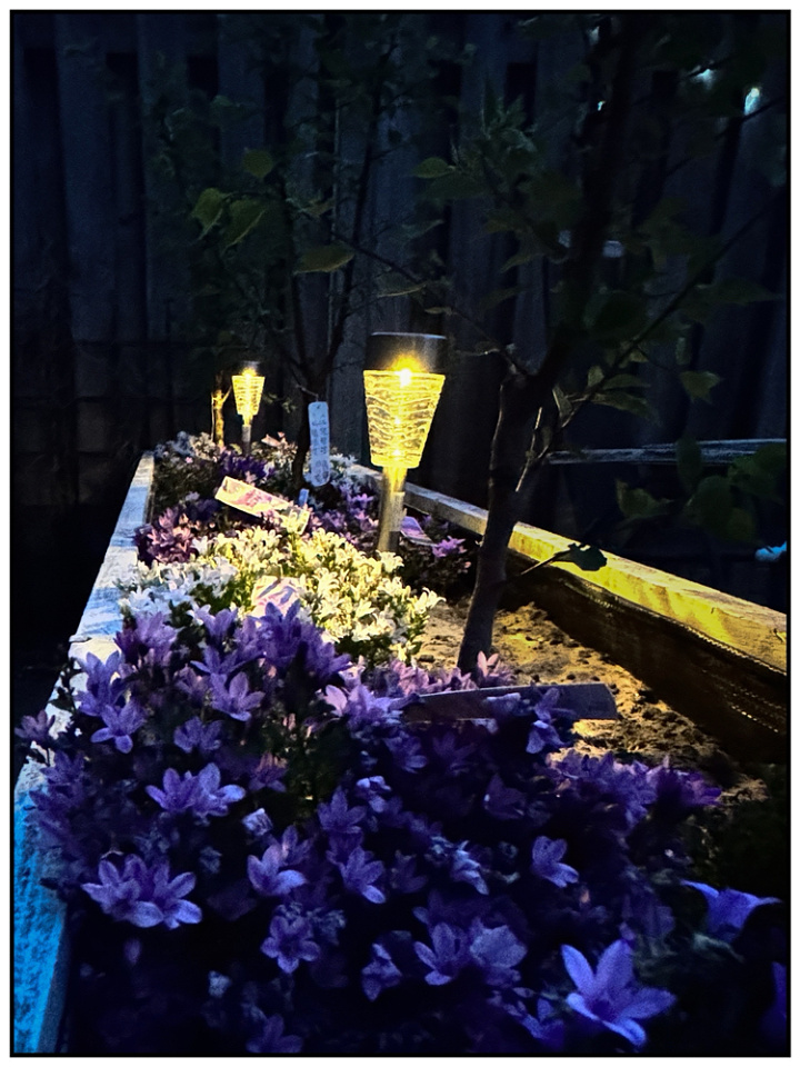 Mother’s Day | Ilja | Blipfoto