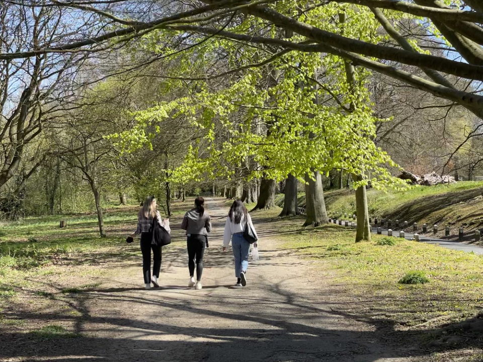 The three go walking in Mote Park | Tryfan46 | Blipfoto