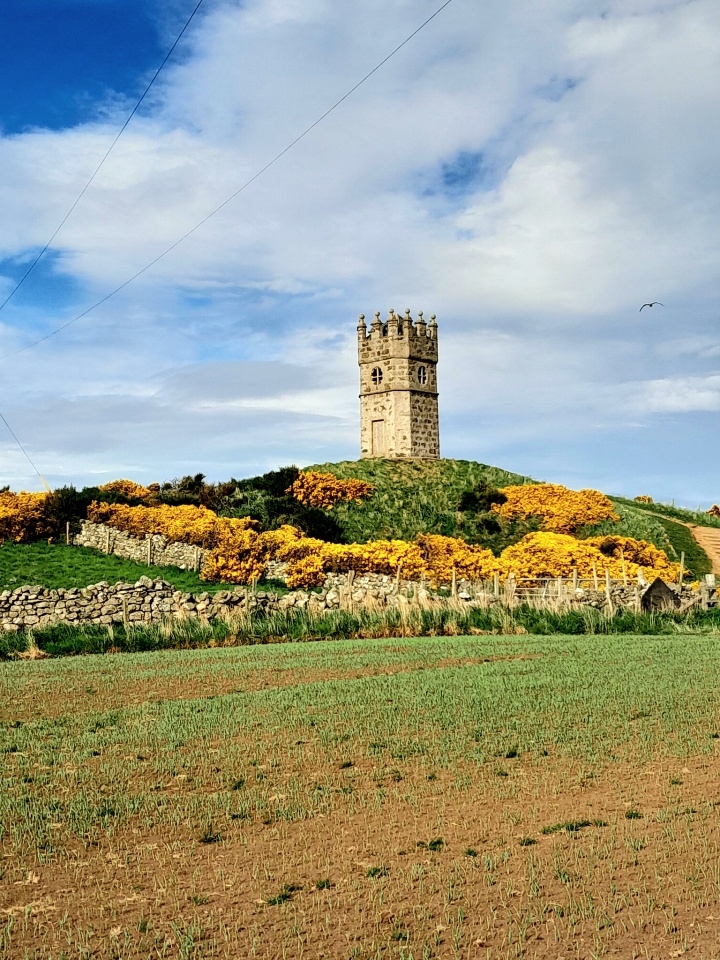 Spring | Greygranite1745 | Blipfoto