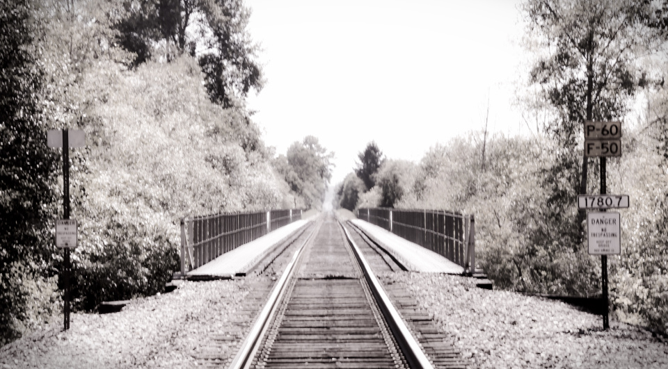 Boundaries | Carolina | Blipfoto