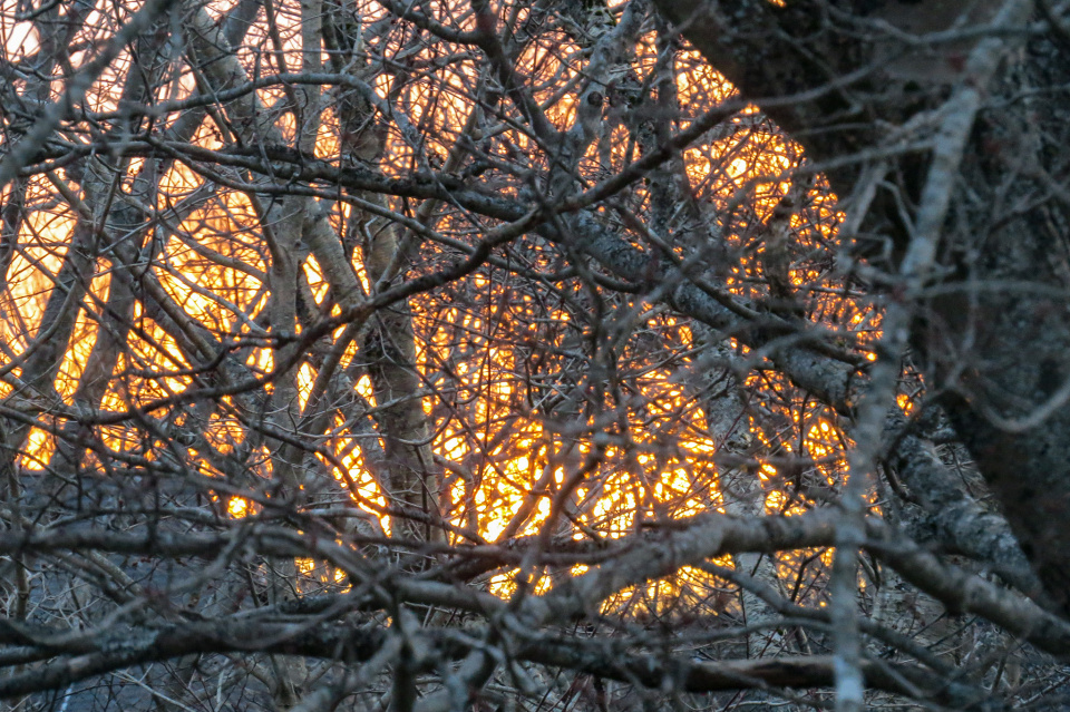 Sunset | KathyH58 | Blipfoto