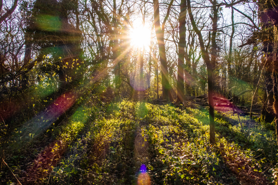 Blipping with Flare | Kernow | Blipfoto