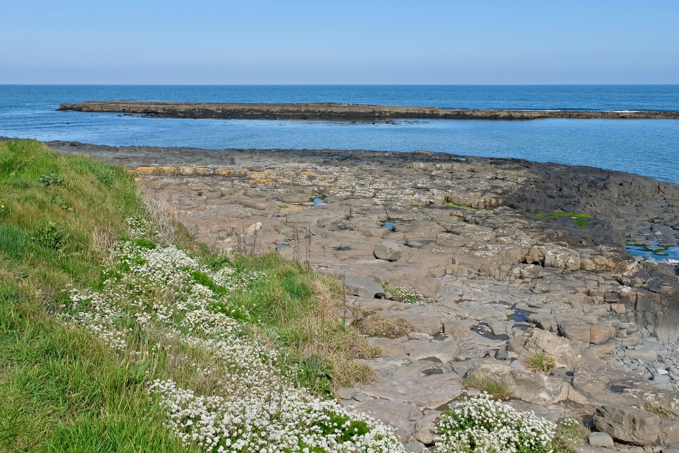 Muckle Carr | PaulaJ | Blipfoto