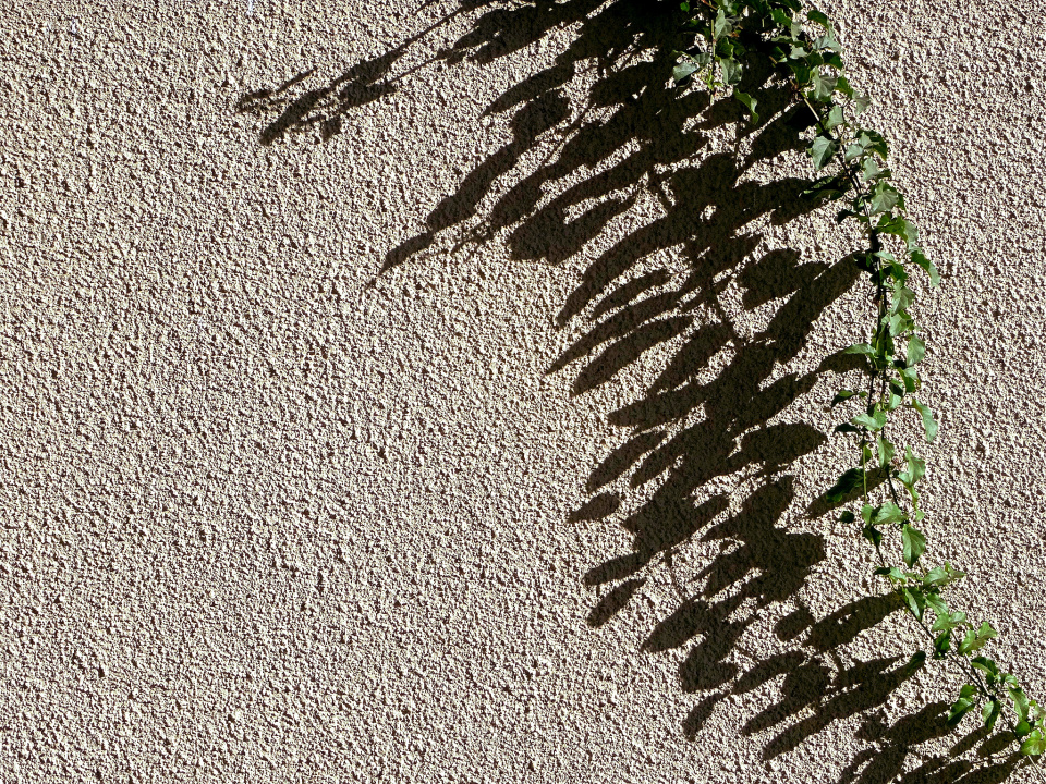 merciless light... | disdatdudda | Blipfoto