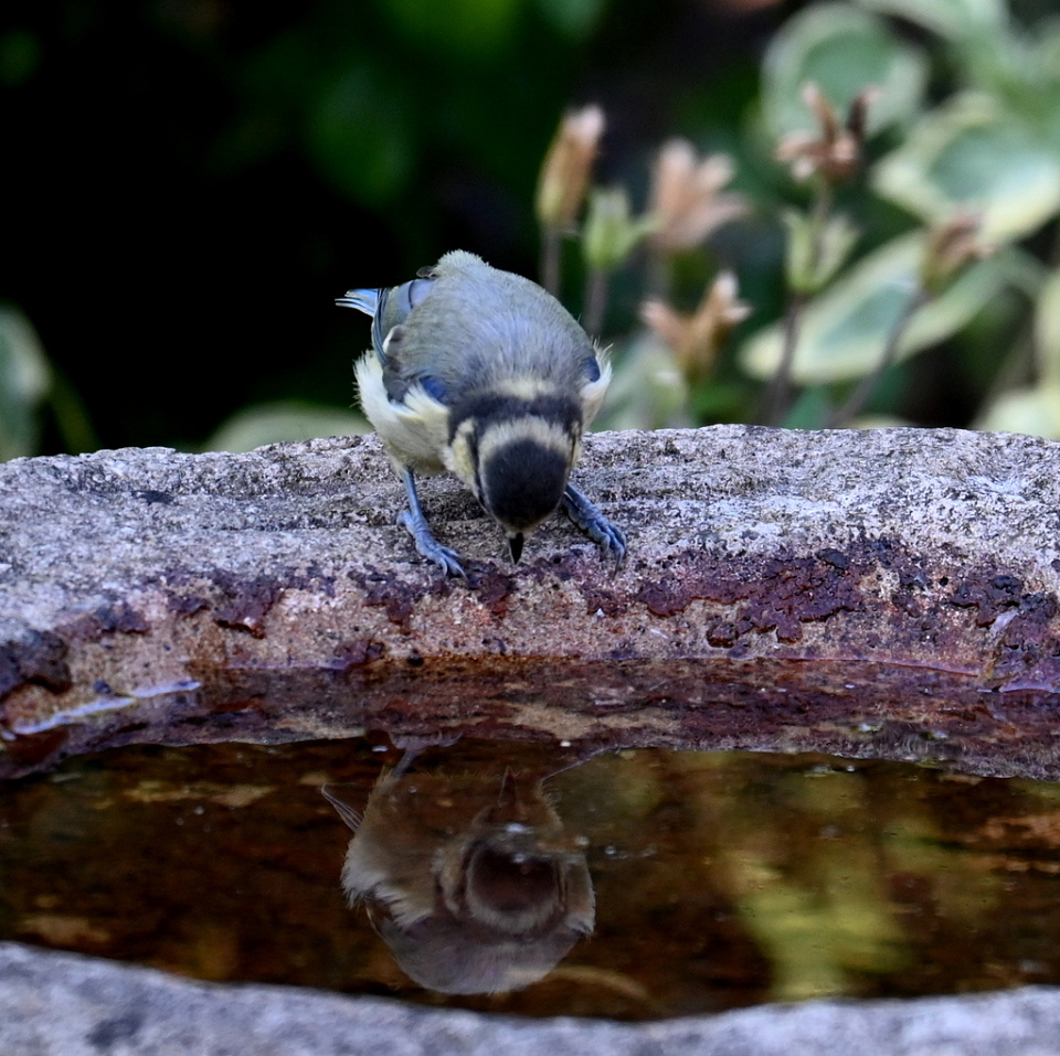 "Could you please top... | chrisA | Blipfoto