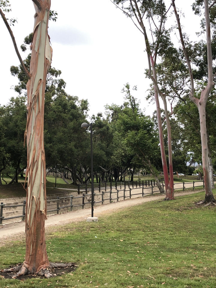 Shedding | Anaisabel | Blipfoto