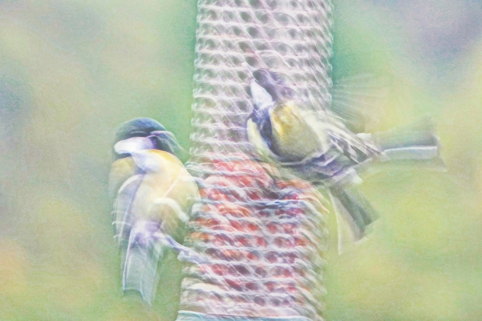 Blur | BobsBlips | Blipfoto