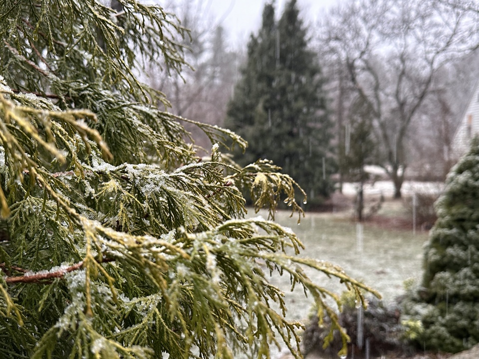 The March wind doth blow | justbe | Blipfoto