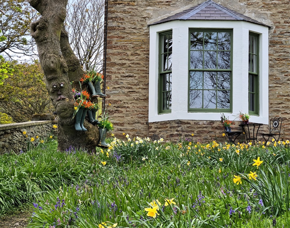 A welly tree | EllyJay | Blipfoto