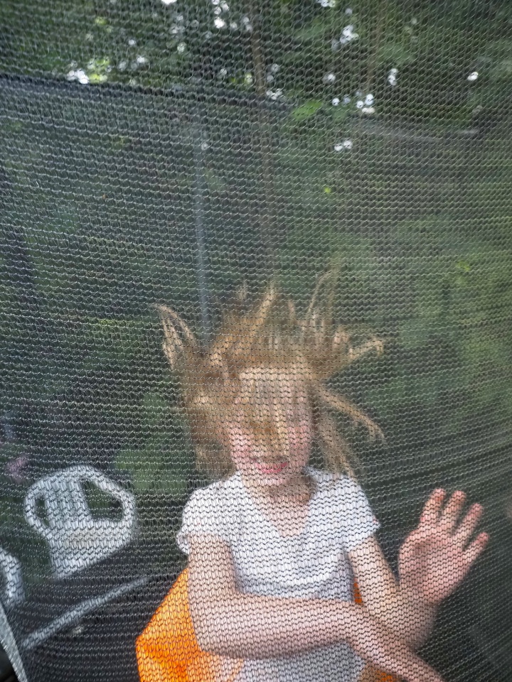 A lot of fun.... | pkln | Blipfoto