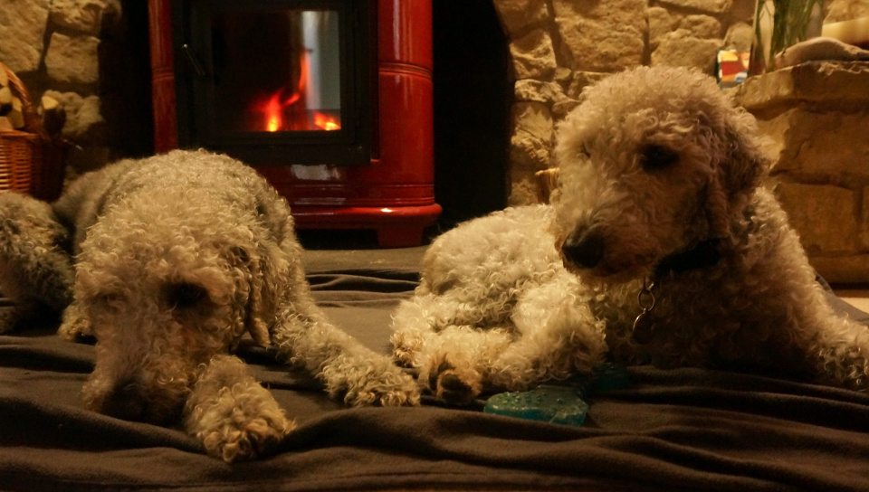 Snuggly Buggly | CoffeePotter | Blipfoto