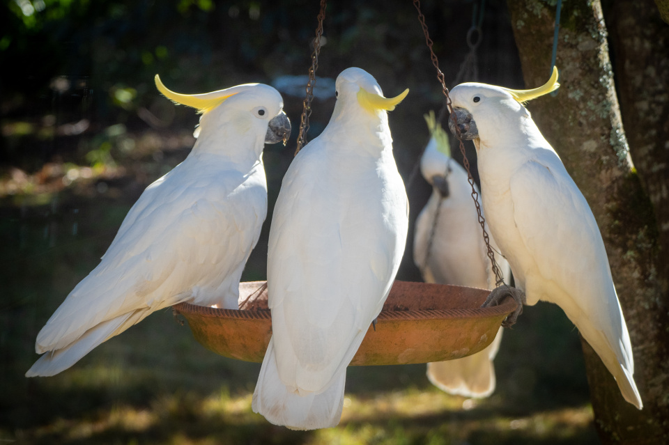 The Conversation | trisharooni | Blipfoto