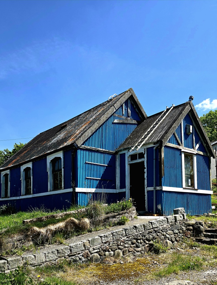 Blue day. | snapper | Blipfoto