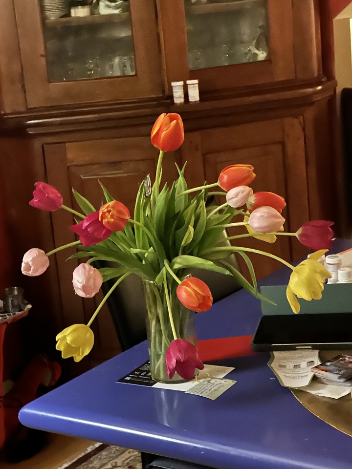 Progress a picture ! | NannaK | Blipfoto