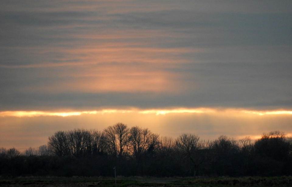 Hint of a tint | Tigger101 | Blipfoto