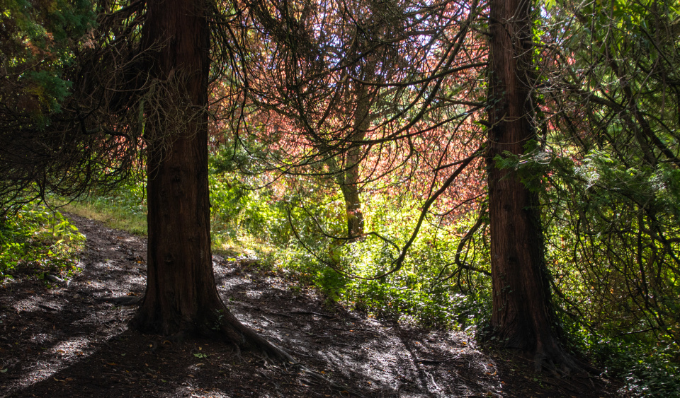 Changing Colours | Kernow | Blipfoto