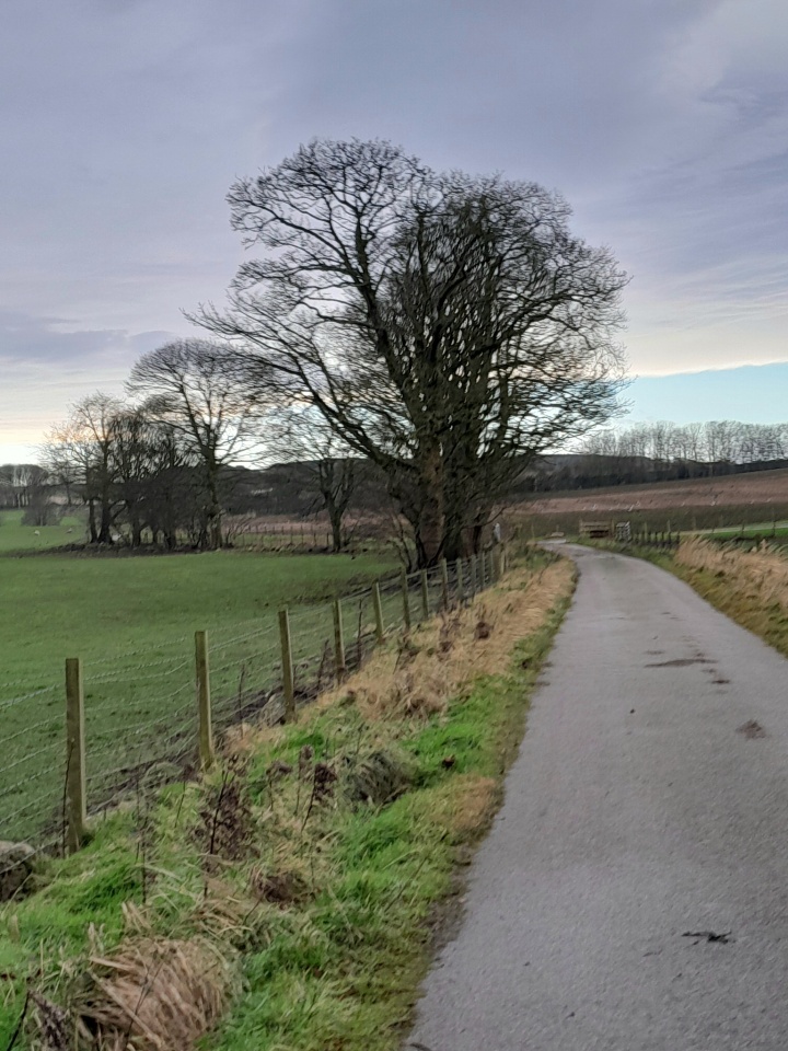 Nondescript | Greygranite1745 | Blipfoto