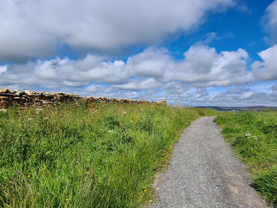 SHORE PATH | EllyJay | Blipfoto