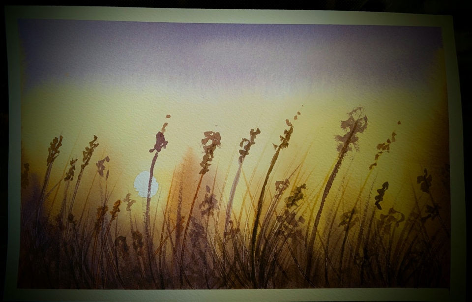 Fields of Gold | TrikiNixi | Blipfoto