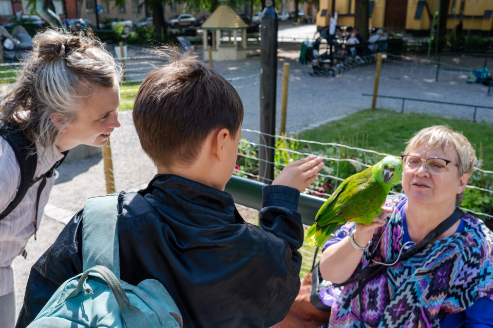 Mr Parrot, 57 years old | BengtCarlsson | Blipfoto