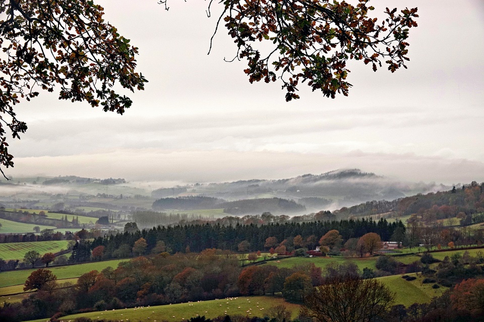 Mist | BobsBlips | Blipfoto