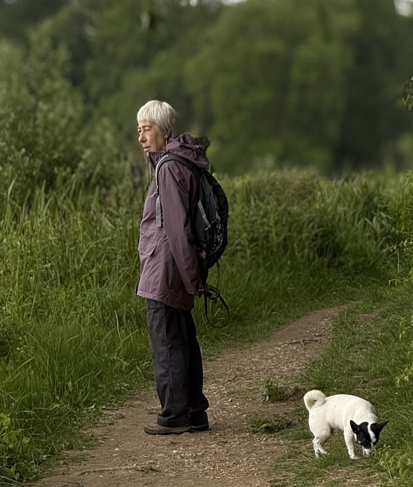 Another dog walk | Green56 | Blipfoto