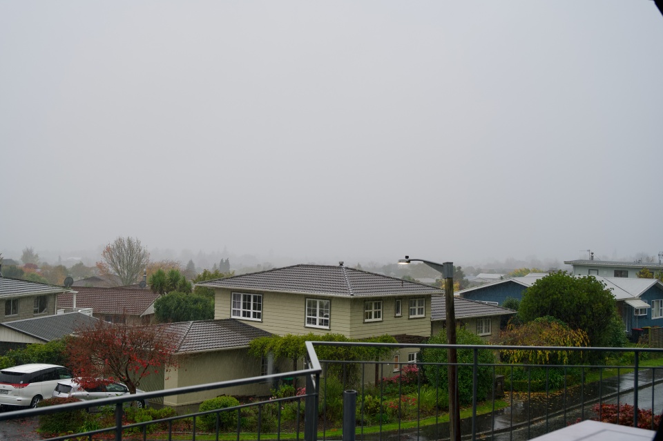 Looking into the gloom | AndrewNZ | Blipfoto