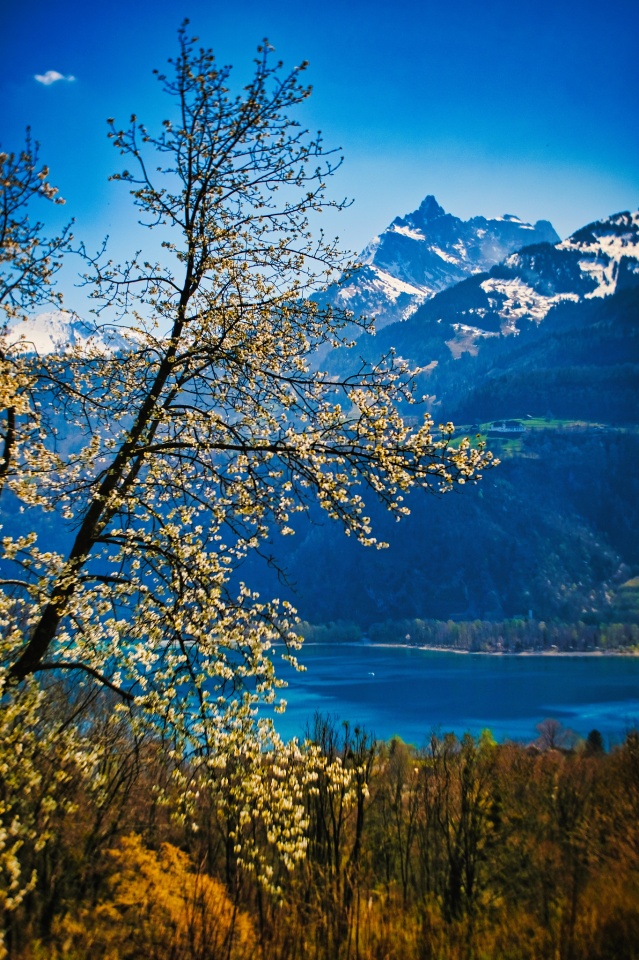 Spring! Imagine the bird song to go with the scene | Reike | Blipfoto